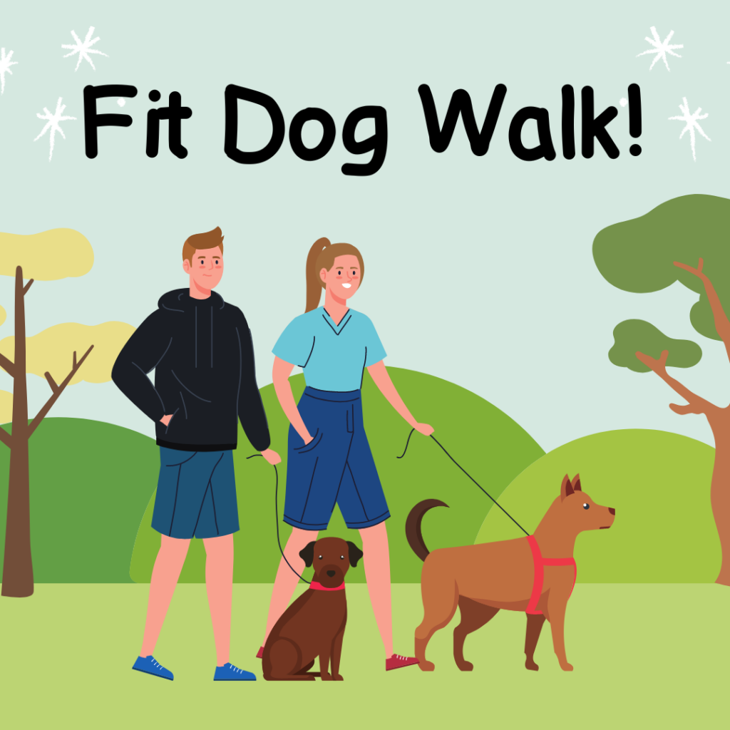AKC Fit Dog Walk - Sit Stay 'n Play