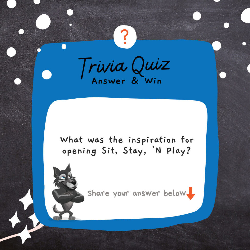 Trivia Challenge - Sit Stay 'n Play